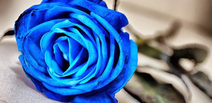 Nuevo sello La Rosa Azul | Turquoise – Blog de Literatura
